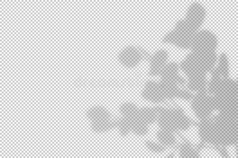 Tree Leaf Shadow. Plant Leaves Overlay Shade. Soft Reflect Light ...