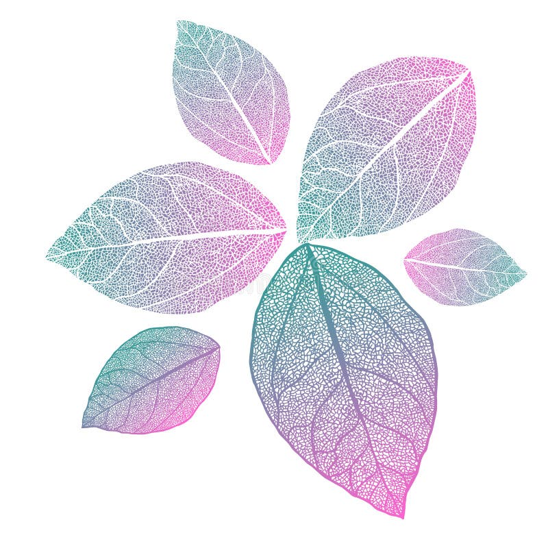 Tree Leaf Skeletonized Violet. Vector Illustration Stock Illustration ...