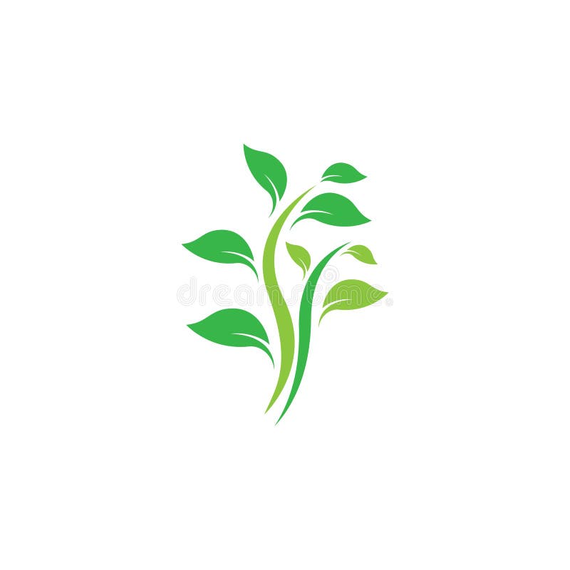 Tree Leaf Symbol Vector Icon Stock Vector - Illustration of floral ...
