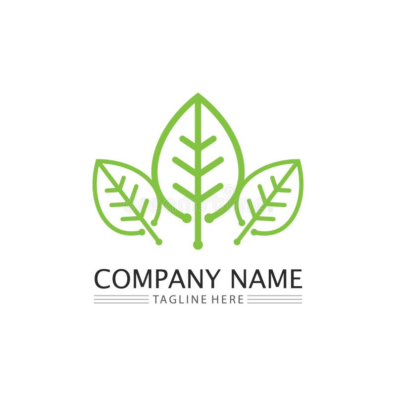 Tree Leaf Vector and Green Logo Design Friendly Concept Stock ...