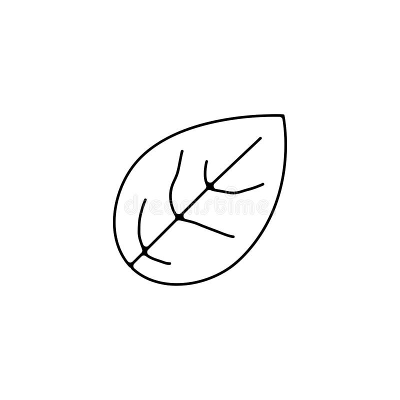 Tree Leaf Thin Line Icon. Leaf Linear Outline Icon Stock Vector ...