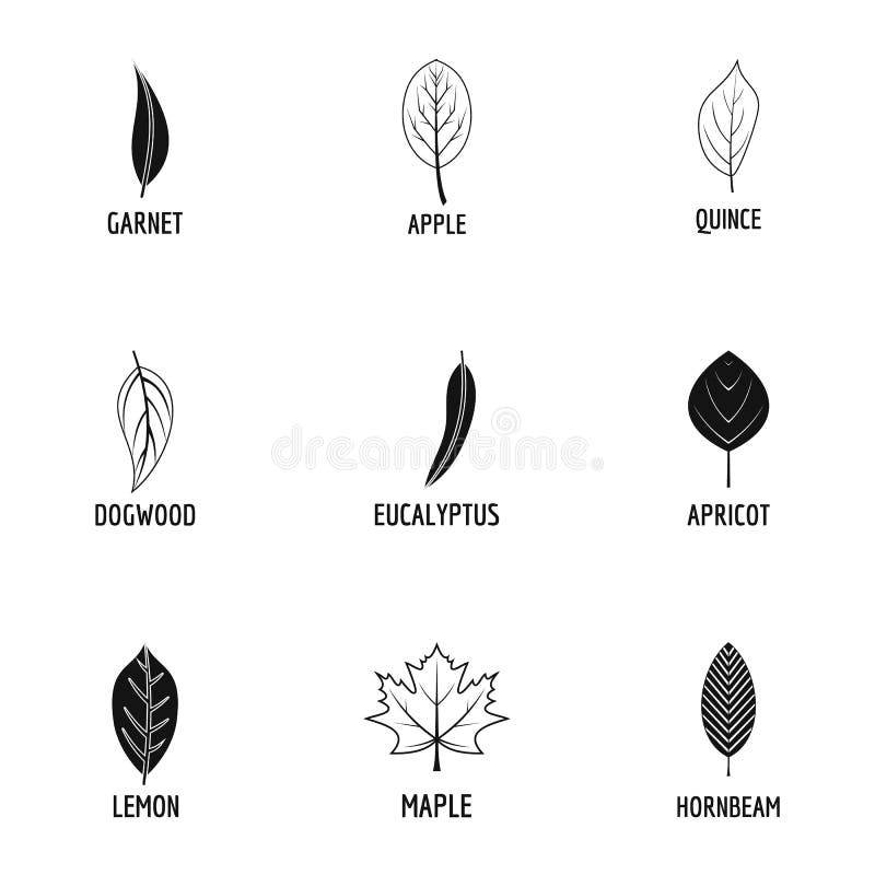 Tree Leave Icons Set, Simple Style Stock Illustration - Illustration of ...