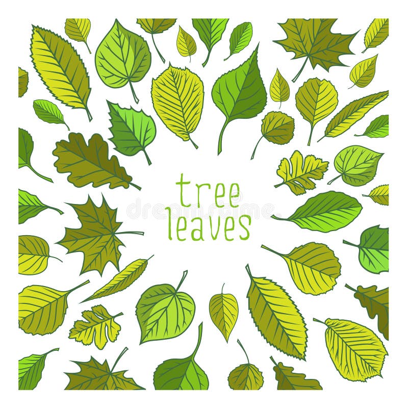 Tree Leaves. Colorful Illustrations Stock Vector - Illustration of ...