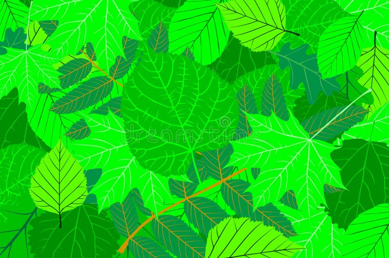 Tree leaves vector stock vector. Illustration of decorative - 118787330