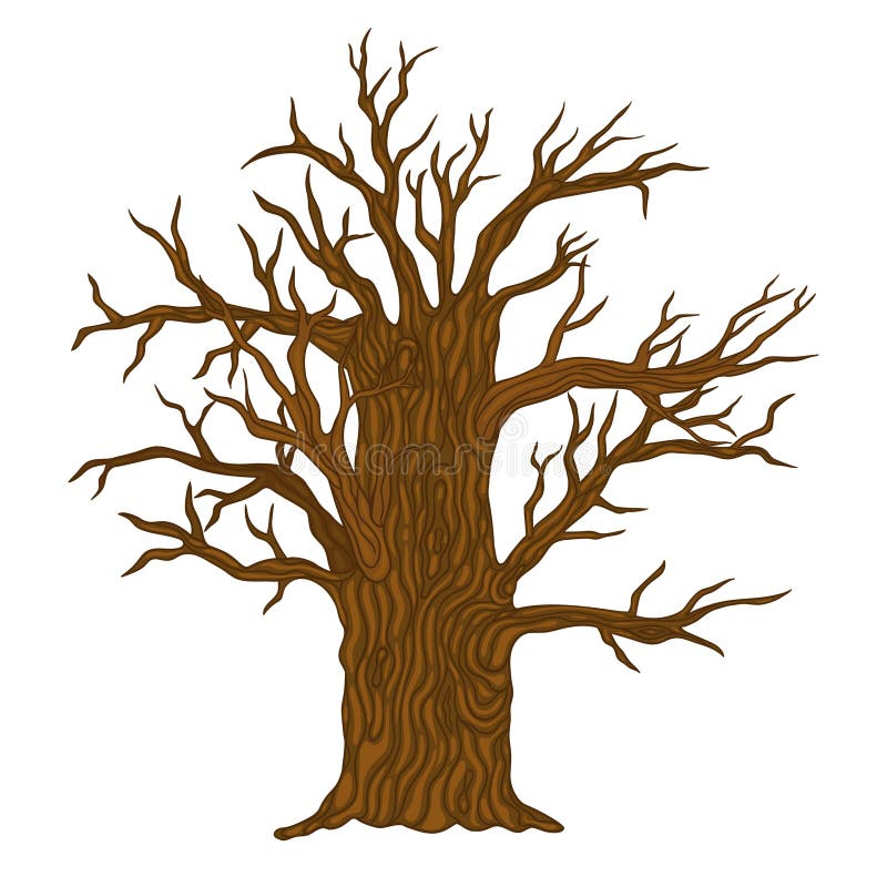 Tree without Leaves Isolate on a White Background. Vector Graphics ...