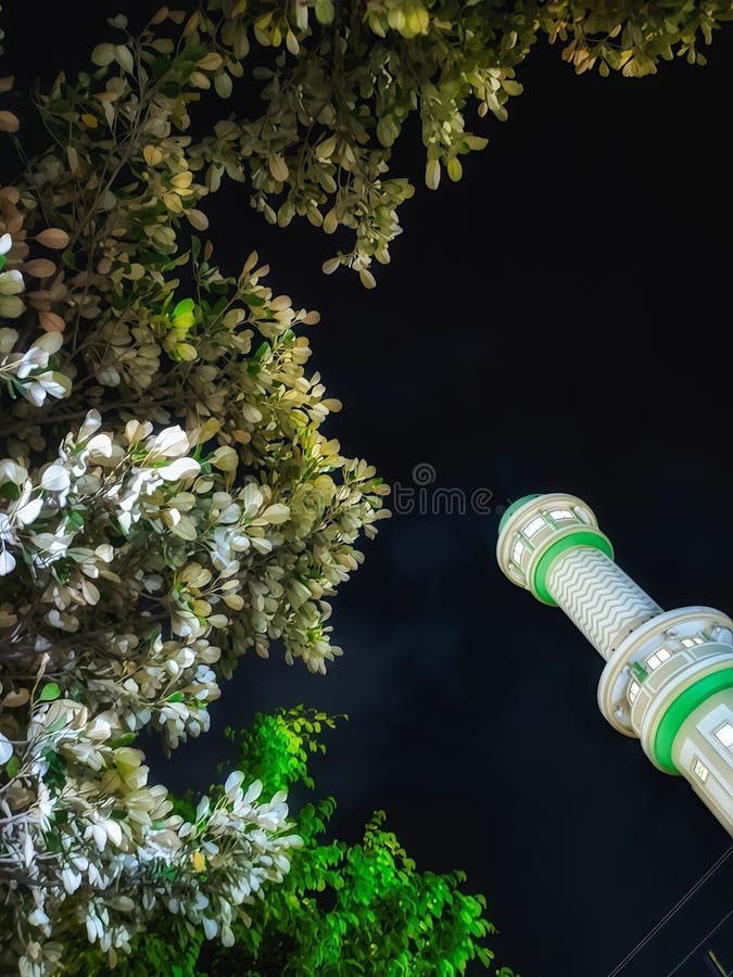 Tree Leaves and Mosque Tower at Night Stock Image - Image of night ...