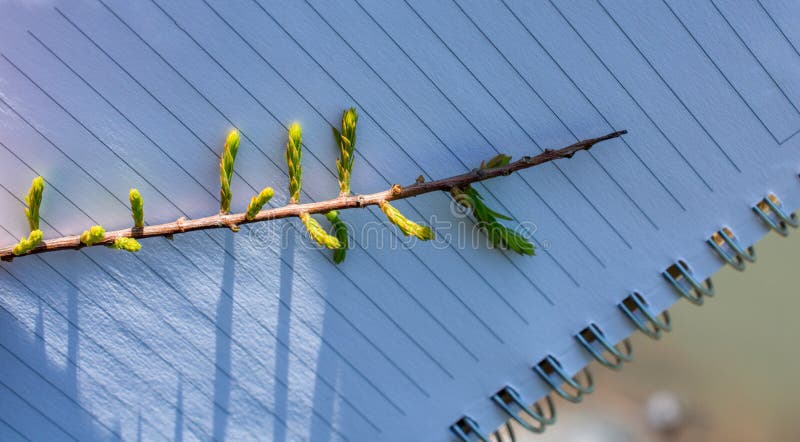 Tree Leaves Over a Notebook Page Stock Photo - Image of colorful ...