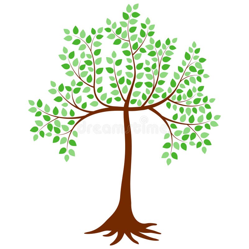 Tree with Leaves and Roots. Simple Vector Stock Vector - Illustration ...