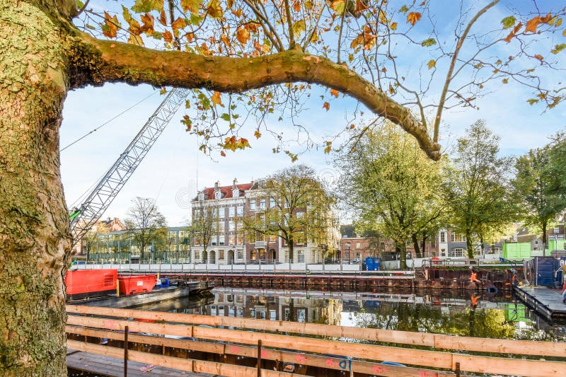 A Tree Overlooking a River with a Bridge and Buildings Editorial Image ...