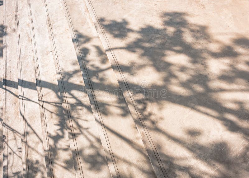Tree Leaves Shadow on Cement Floor Statrs Step Landscape Nature ...