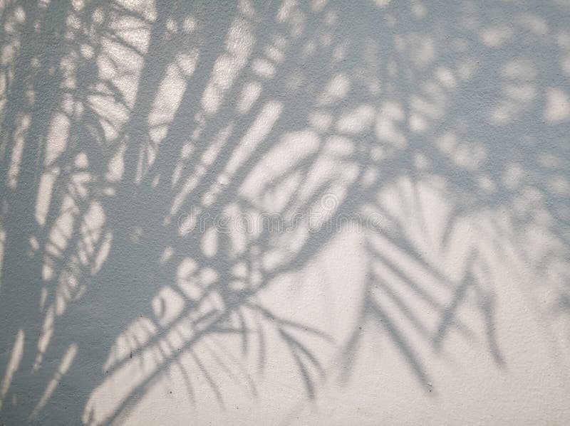 Tree Leaves Shadow on Wall Background, Abstract Background Cement Wall ...