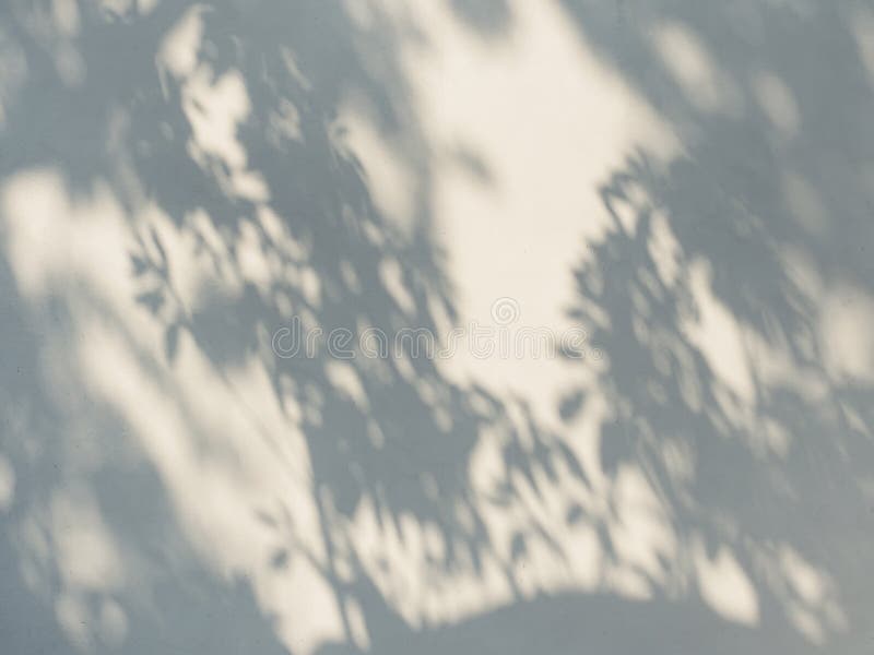 Tree Leaves Shadow on Wall Background Stock Photo - Image of leaves ...