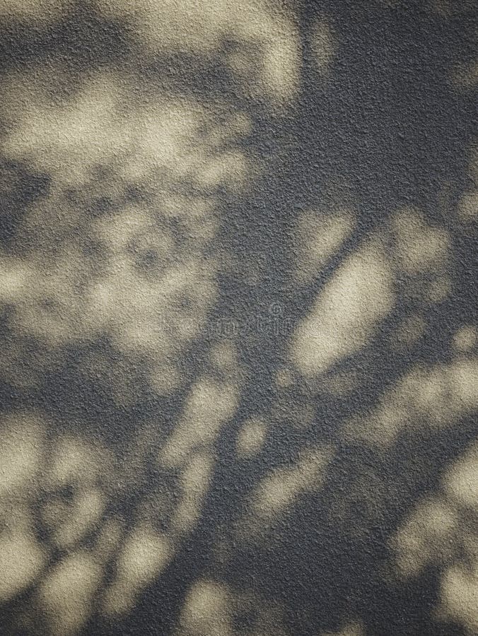 Tree Leaves Shadow on Wall Nature Abstract Background Stock Photo ...