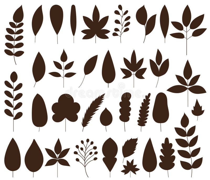 Tree Leaves Silhouette on White Background Vector Vector Stock ...