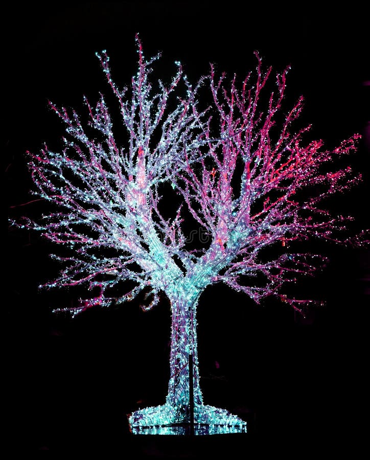 Tree with Led Lights As Christmas Object Stock Image - Image of xmas ...