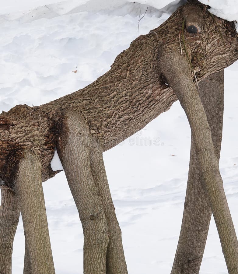 Tree with legs stock image. Image of demon, animal, glade - 252498361