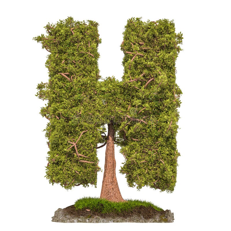 Tree Letter H. Tree in Shaped of Letter H, 3D Rendering Stock ...