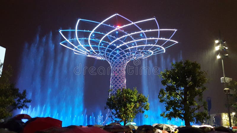 Tree of life stock photo. Image of world, tree, milano - 60646956