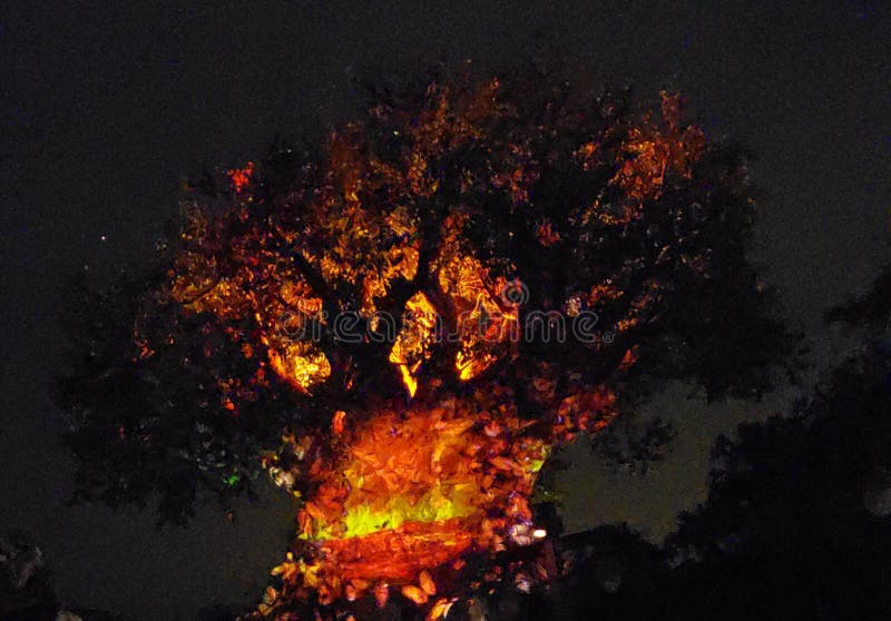 Tree of Life Animal Kingdom at Night Stock Photo - Image of animal ...