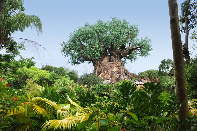 The Tree of Life at Disney World Editorial Photo - Image of jungle ...