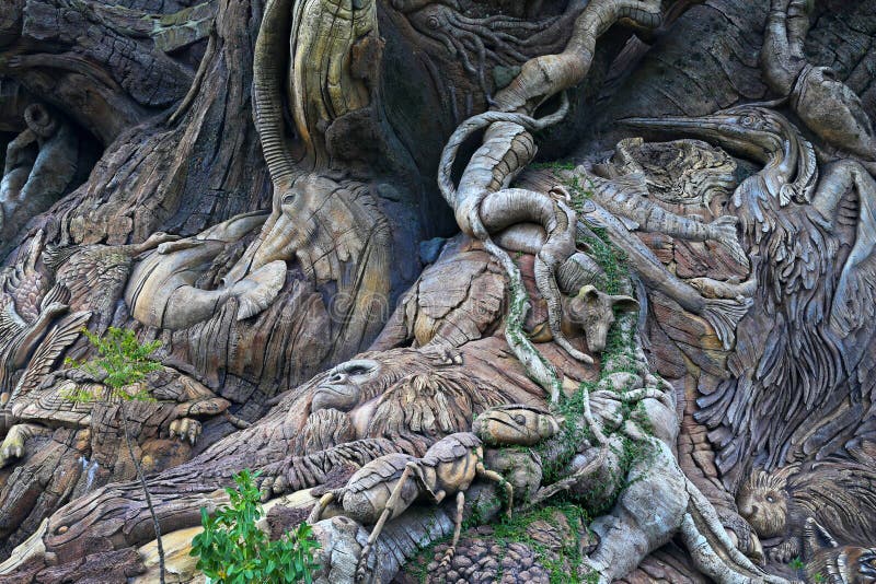 The Tree of Life at Disney World Editorial Stock Photo - Image of ...