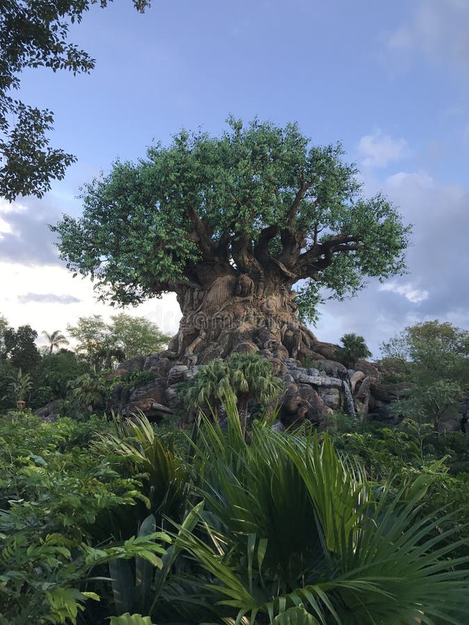 Tree of life editorial photography. Image of animals - 162352507