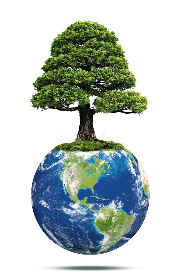 Tree growing from earth stock image. Image of earth, grow - 8481435