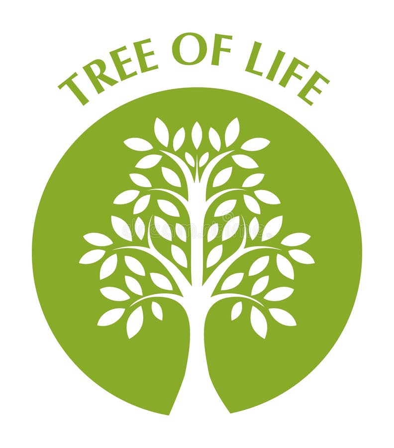 Tree of life stock vector. Illustration of decor, floral - 47556400