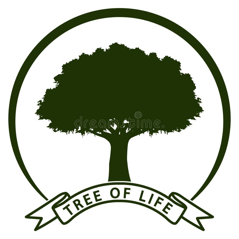 Tree of life stock vector. Illustration of botany, branch - 64828916