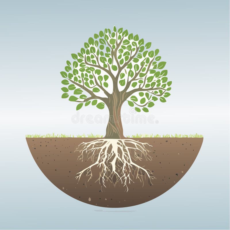 Tree of Life with Visible Root System Illustration Stock Photo ...