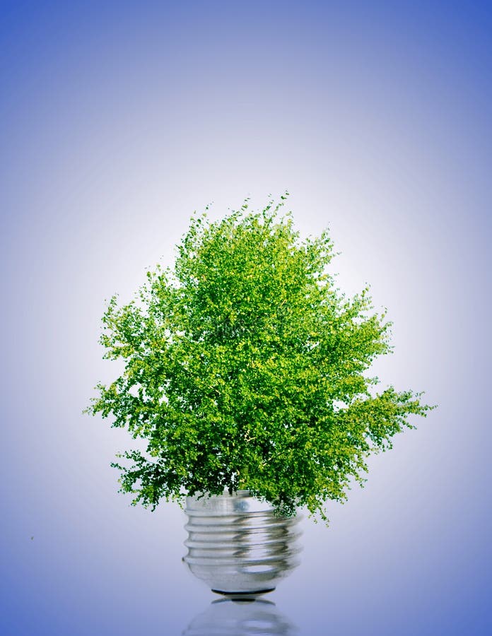 Tree In Light Bulb Picture. Image: 10823516