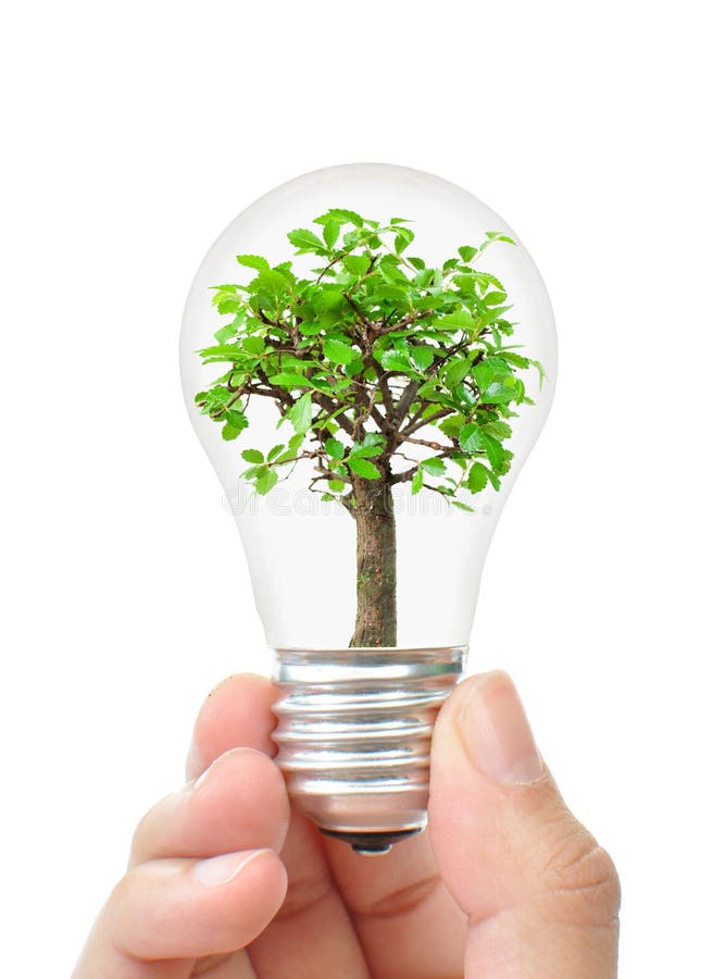 Light bulb with tree stock photo. Image of environmental - 23297916