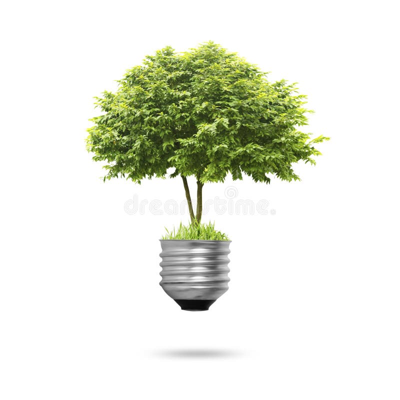 Tree Light bulb isolated stock image. Image of ideas - 43701975