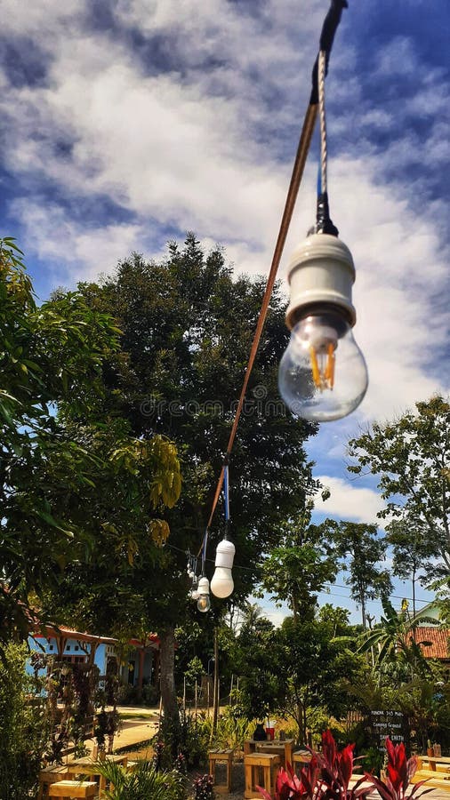 Tree light fittings stock photo. Image of wind, park - 265316172