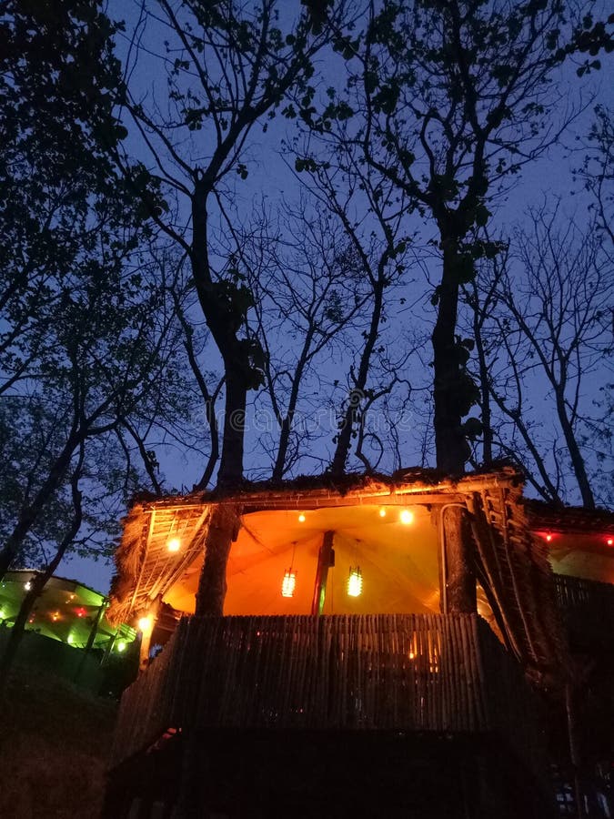 Tree light house stock photo. Image of restaurant, tree - 118249150