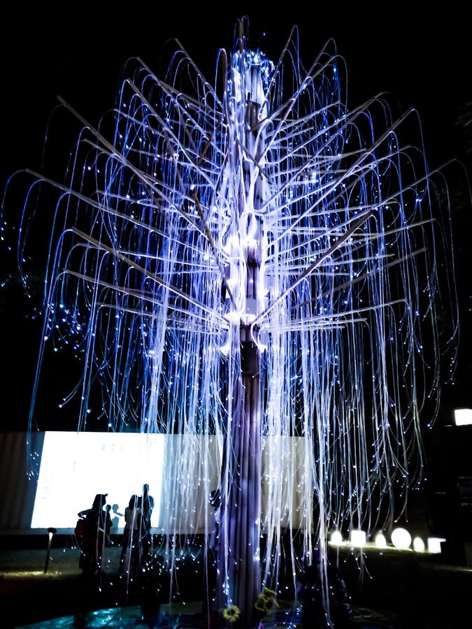 Tree stock photo. Image of city, light, tree, view, night - 135028990