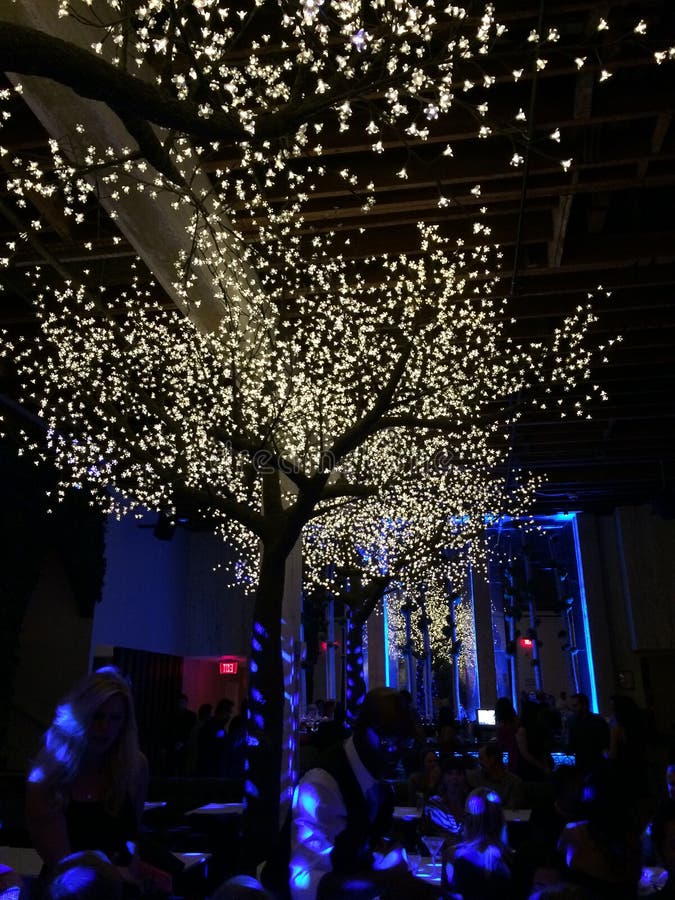 Tree Lighting in Restaurant Editorial Stock Photo - Image of food ...