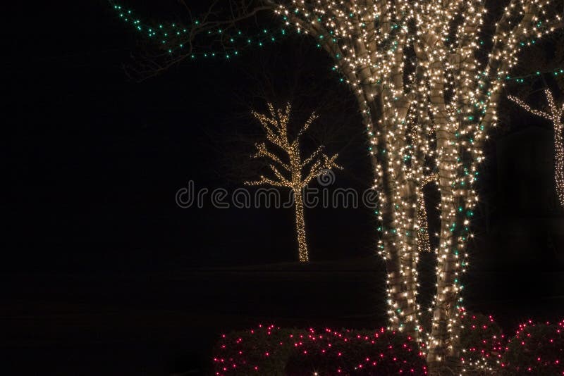 Tree Lights stock photo. Image of blue, string, bright - 397726