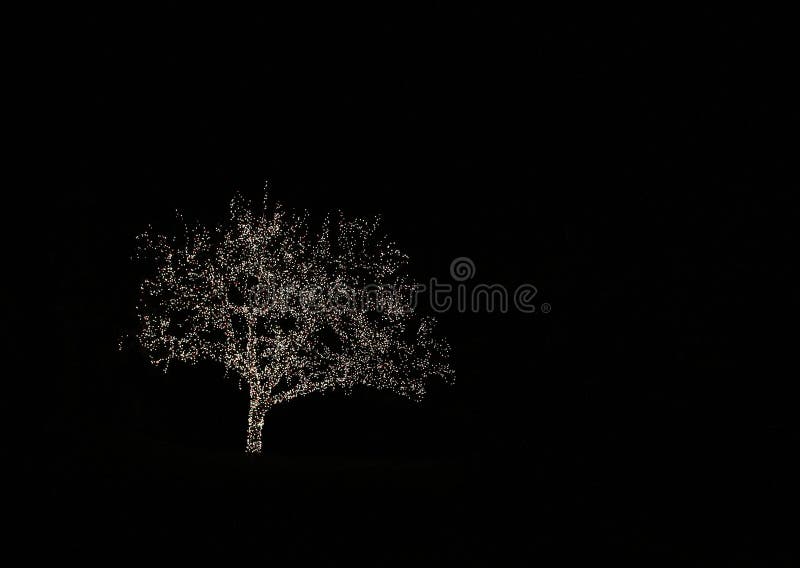 Tree of Lights stock image. Image of tree, branches, night - 64691857