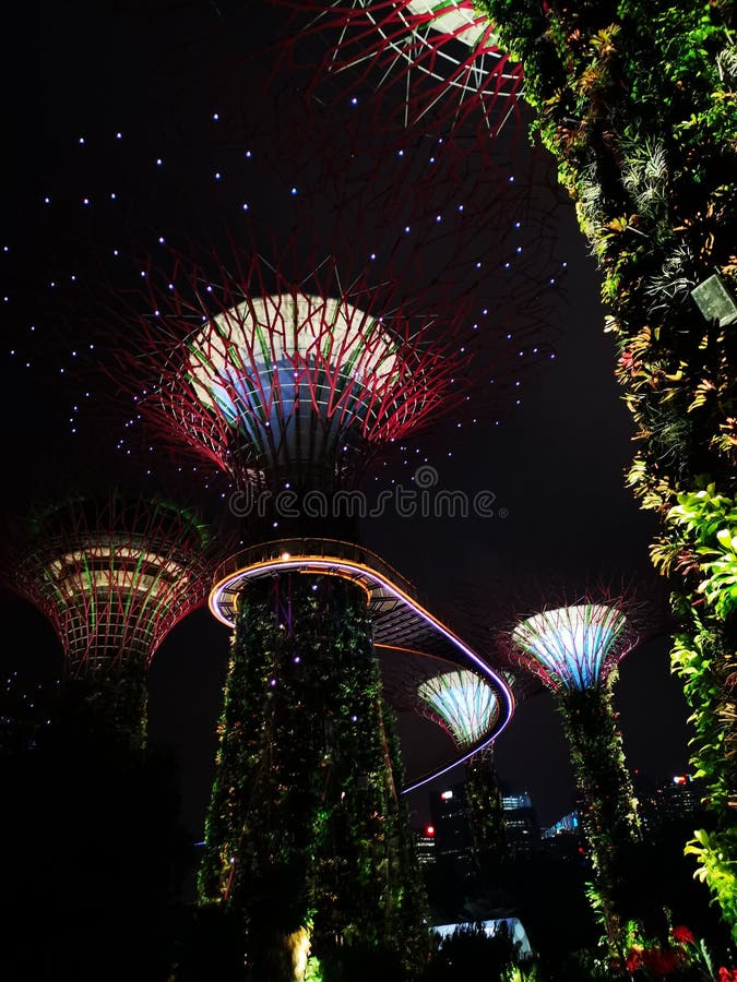 Tree Lights Night Garden by the Bay Stock Image - Image of tree, night ...