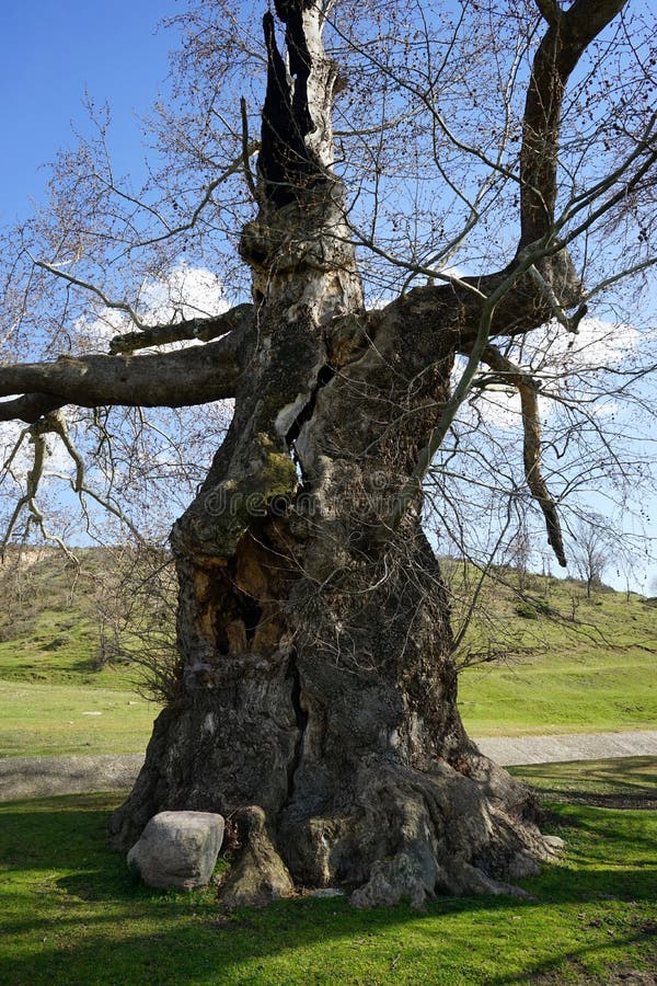 Like a Monster with a Large Open Mouth and an Empty Eye Socket in the ...