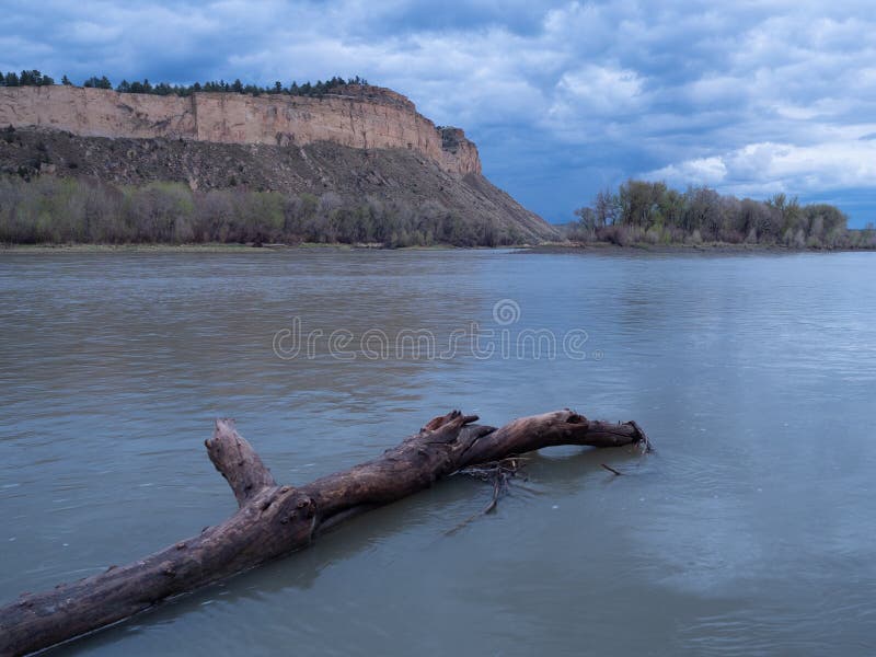 Tree Limb in a River with Cliffs in the Background Stock Image - Image ...