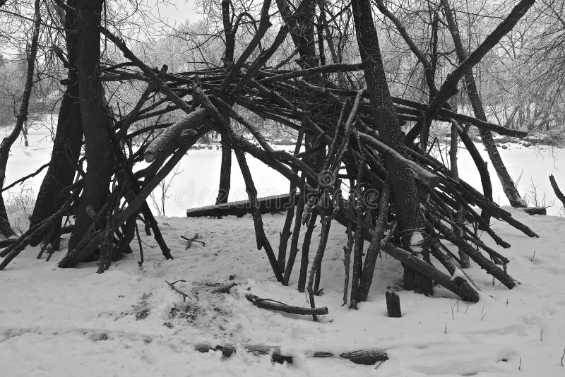Tree Limbs and Branches Arranged To Created a Shelter Black and White ...