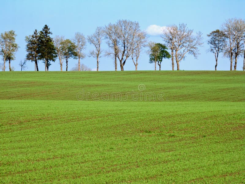 Tree line stock image. Image of snowy, farm, arable, rime - 1751297