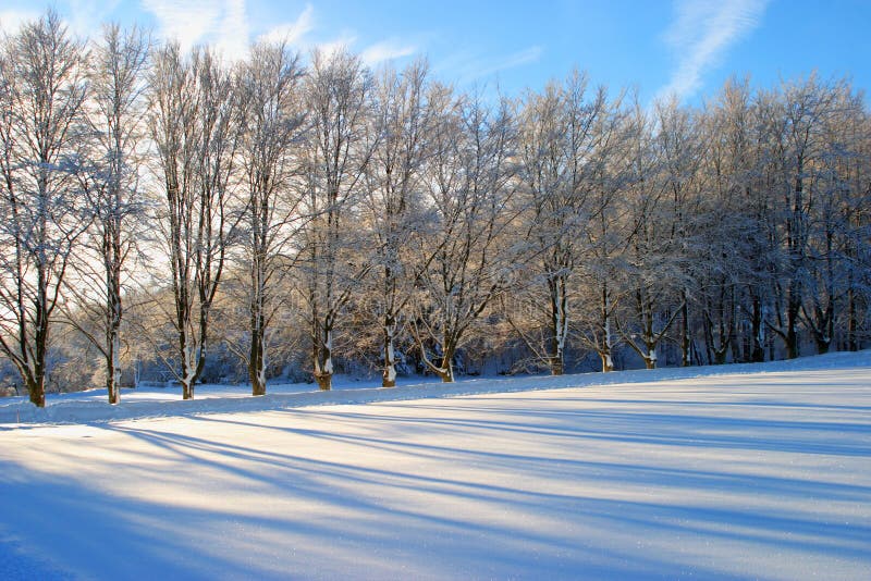 Tree line stock image. Image of snowy, farm, arable, rime - 1751297