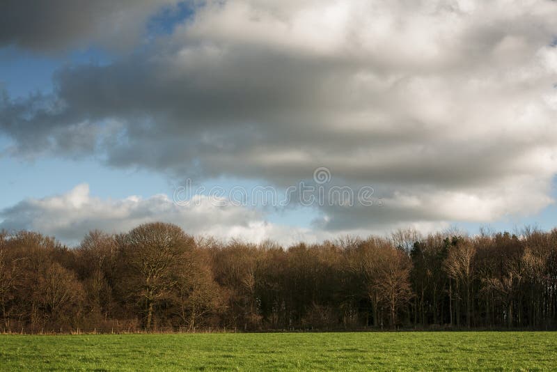 Tree line stock image. Image of snowy, farm, arable, rime - 1751297