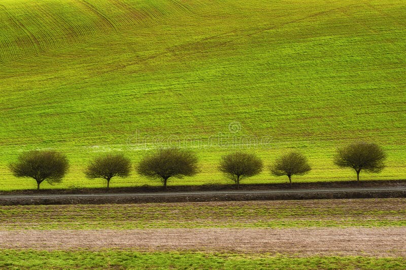 Tree Line Agriculture Fields Along a Hillside Stock Image - Image of ...