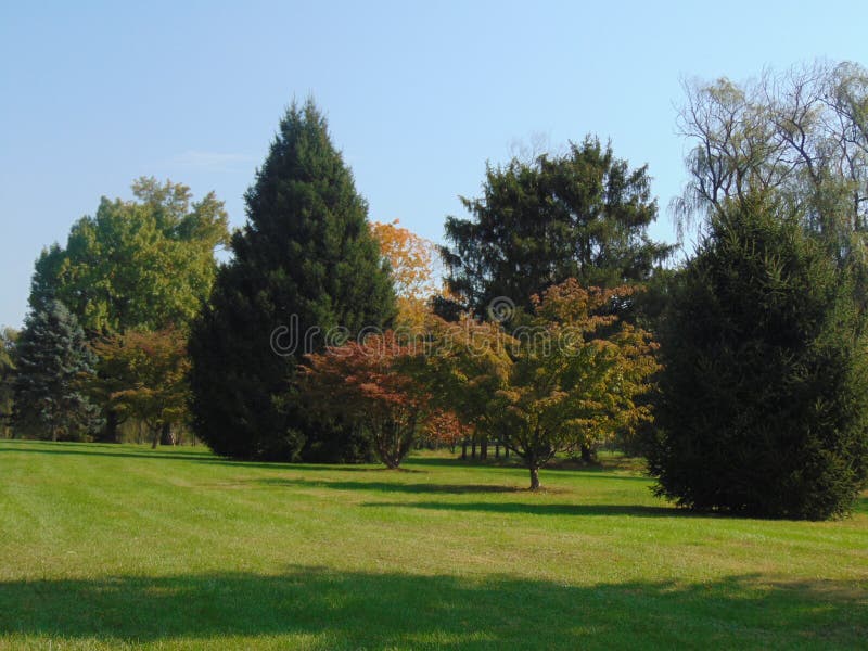 Tree Line stock photo. Image of park, mixed, line, background - 79406076