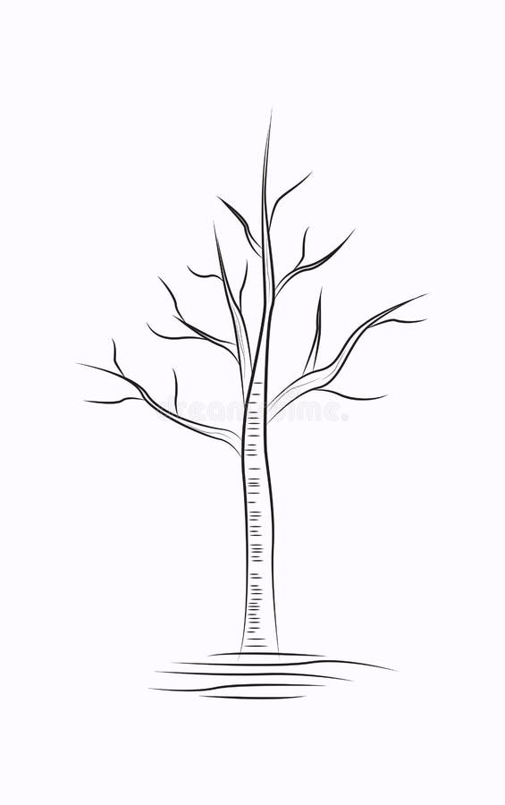 Tree Line Art Black and White Sketches Drawing Stock Vector ...