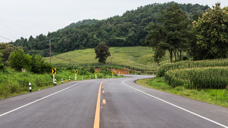 Tree Line with Sky stock image. Image of outdoors, copy - 5641793